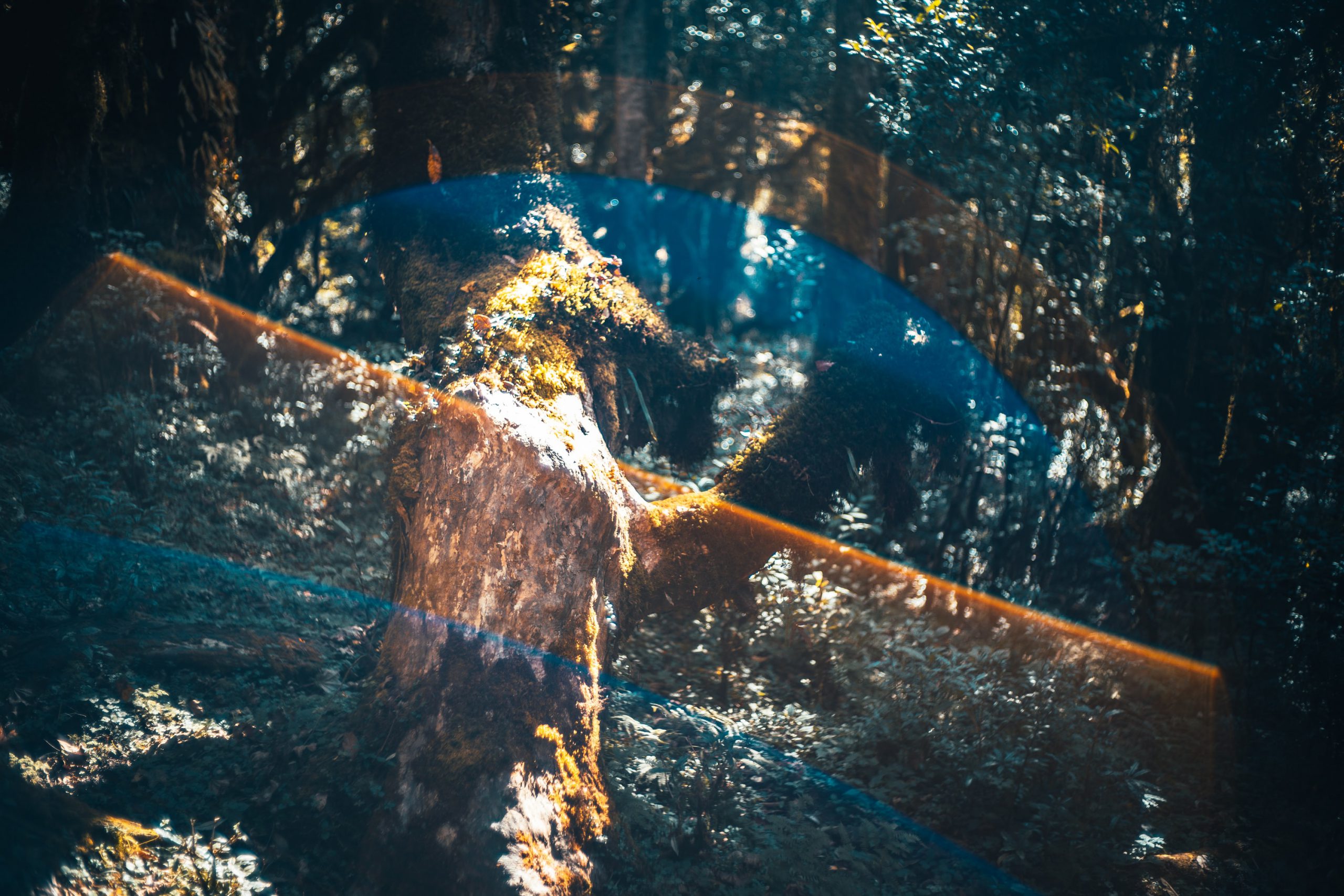 Fullscreen Background Slider Example – Gutenslider